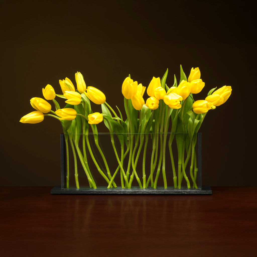 Horizontal H5 Vase - Still Life Vases